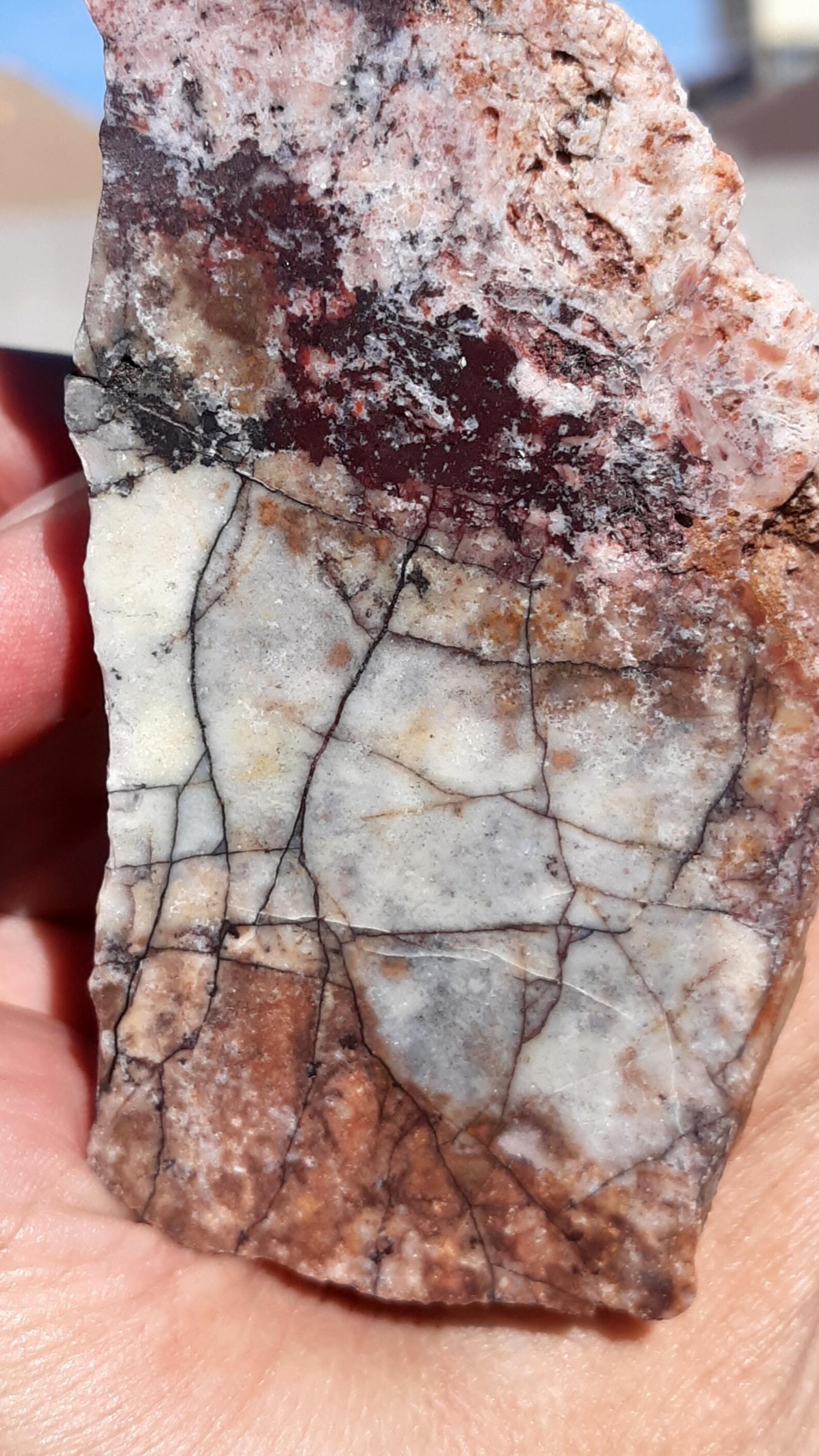 Arizona Lightning Strike Picture Jasper Faced and Polished - Etsy