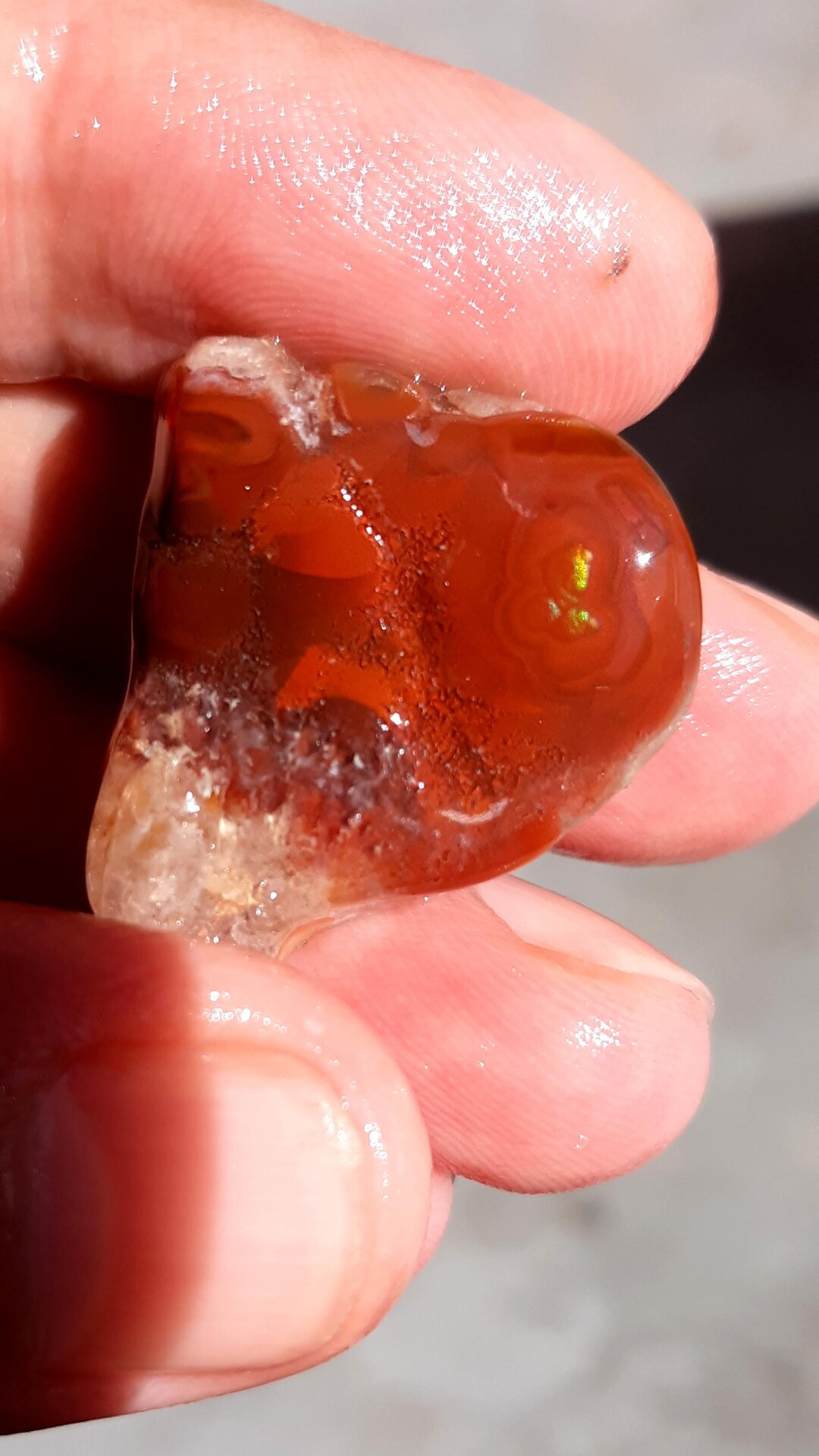 Three Arizona Fire Agates Rough (prepolish) Lapidary - Etsy