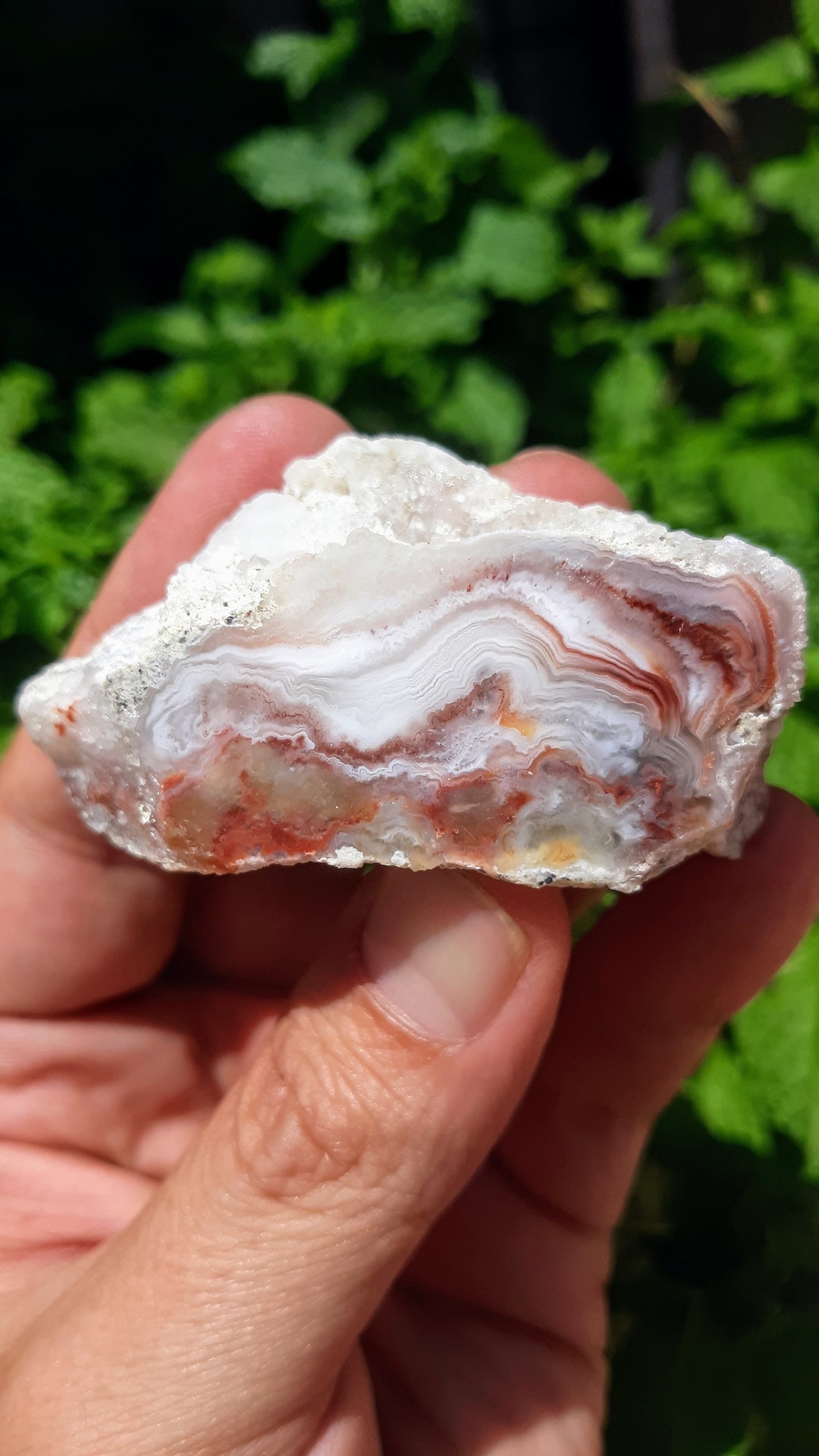 Two Faced and Polished Arizona Fire Agate Chalcedony Specimems ...