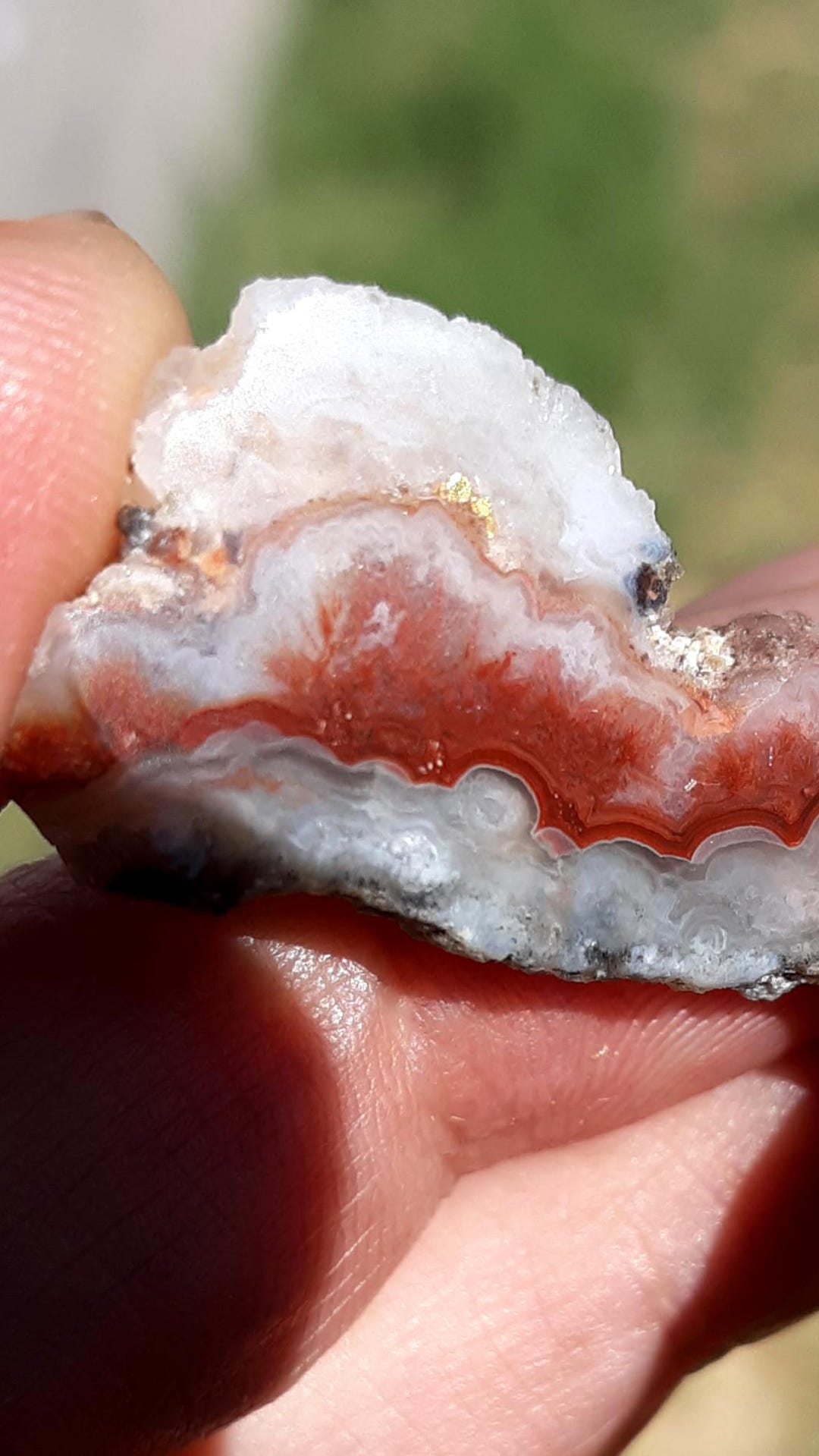 Arizona Chalcedony Fire Agate Mini Slab With Gold Polished - Etsy