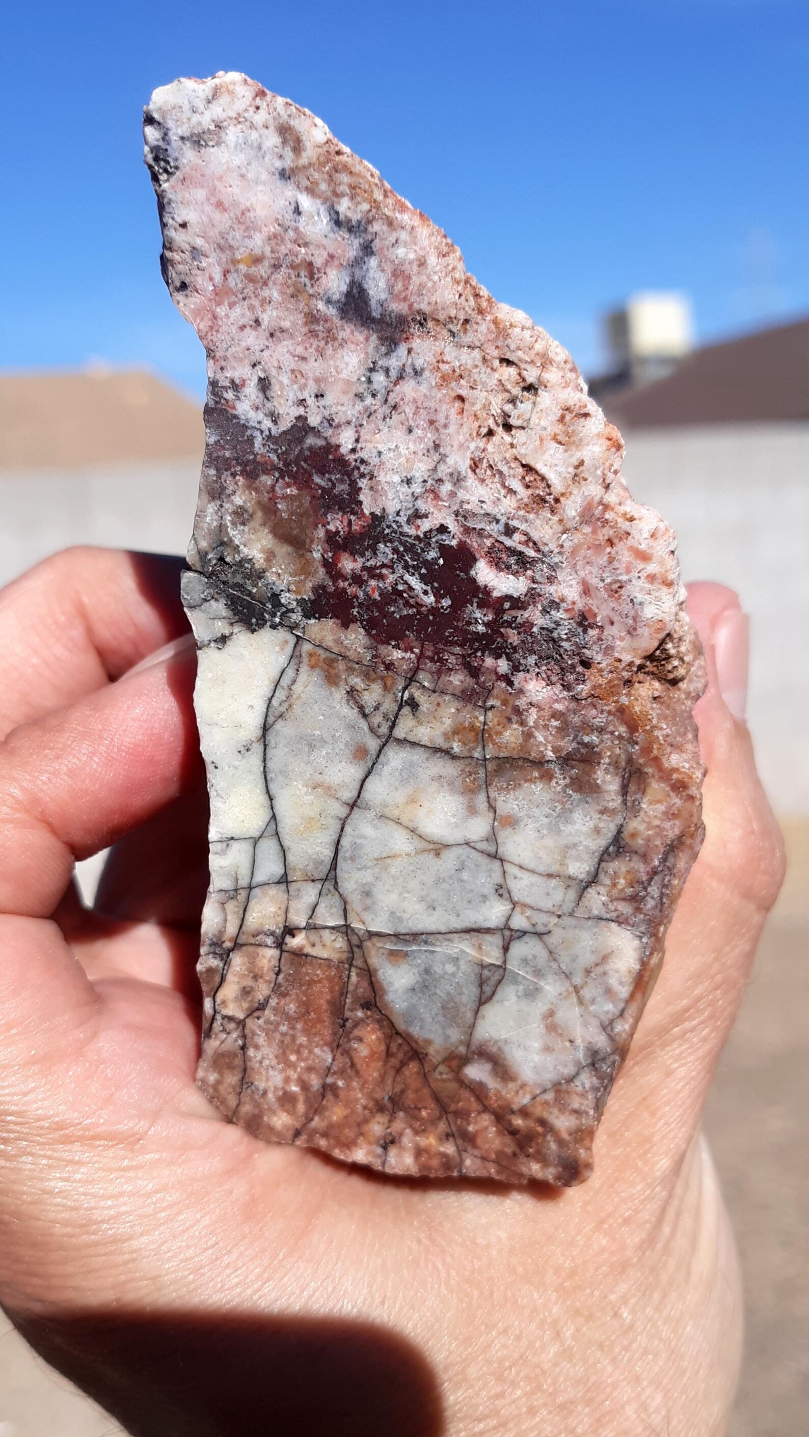 Arizona Lightning Strike Picture Jasper Faced and Polished - Etsy