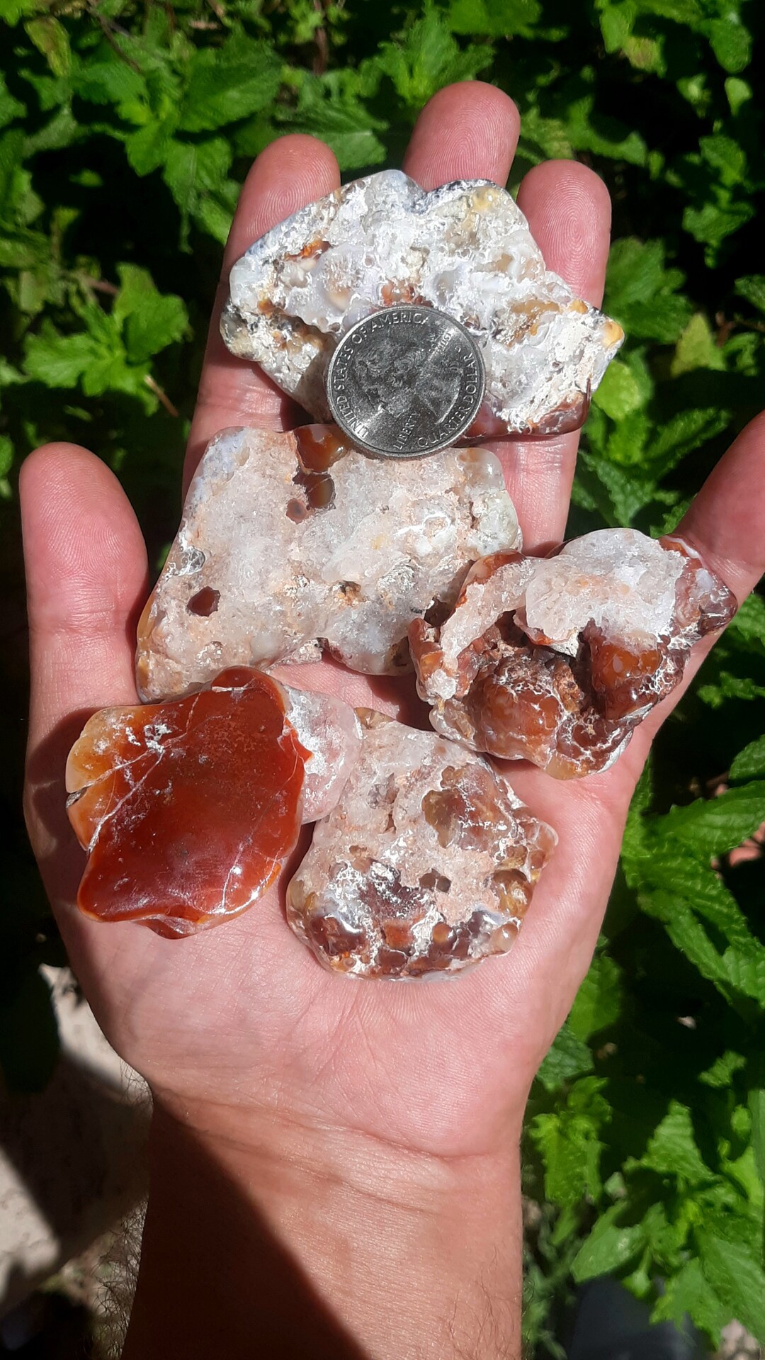 5 Medium/large Arizona Fire Agate Chalcedony Specimens Tumble Vibed ...