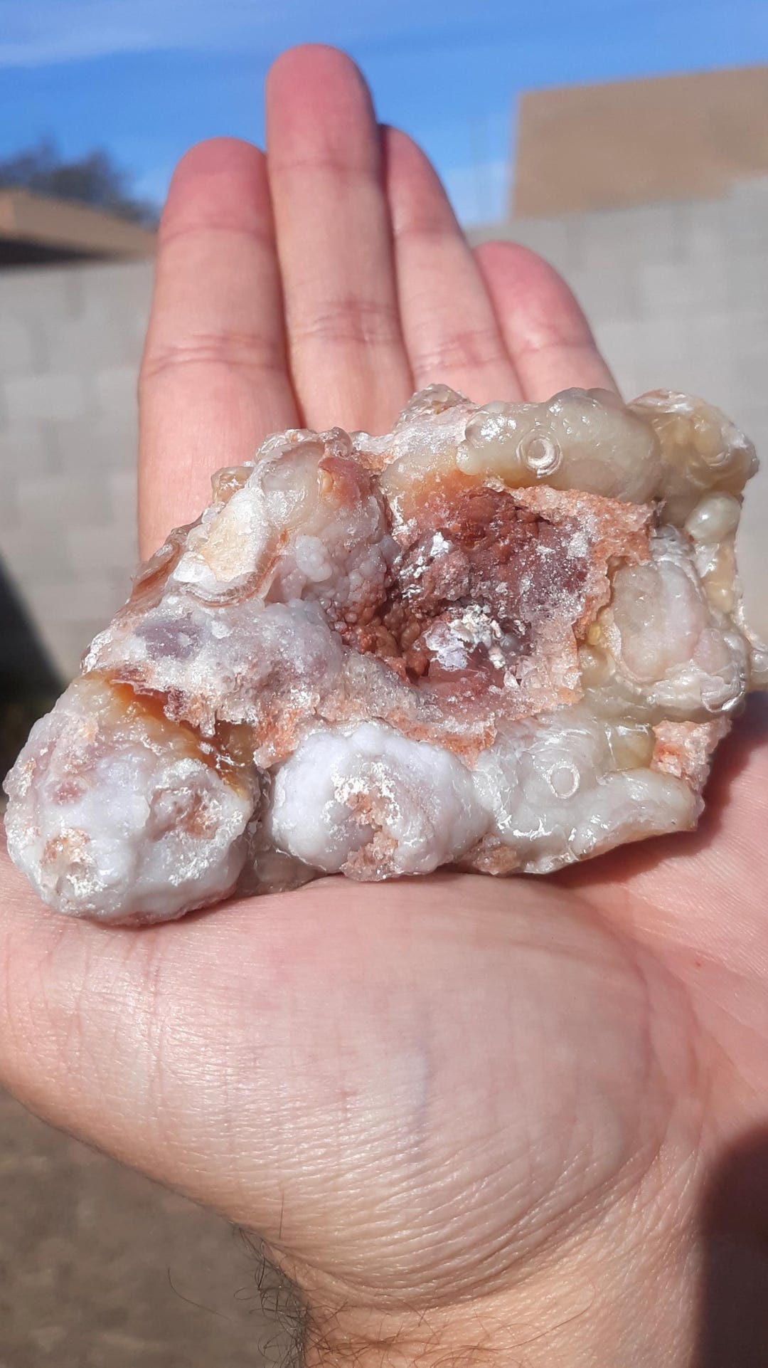 Rare Botryoidal Arizona Fire Agate Chalcedony Specimen - Etsy