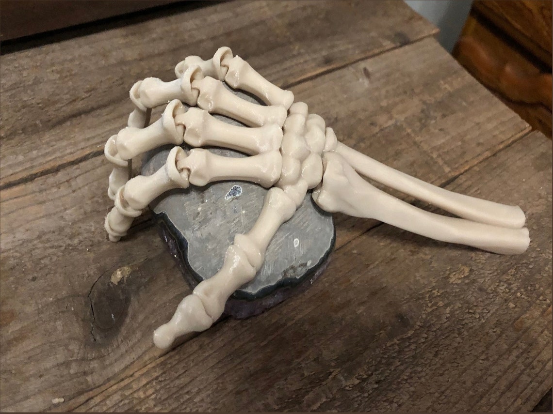 Spooky Bendable 10 Skeleton Hand Great Novelty - Etsy