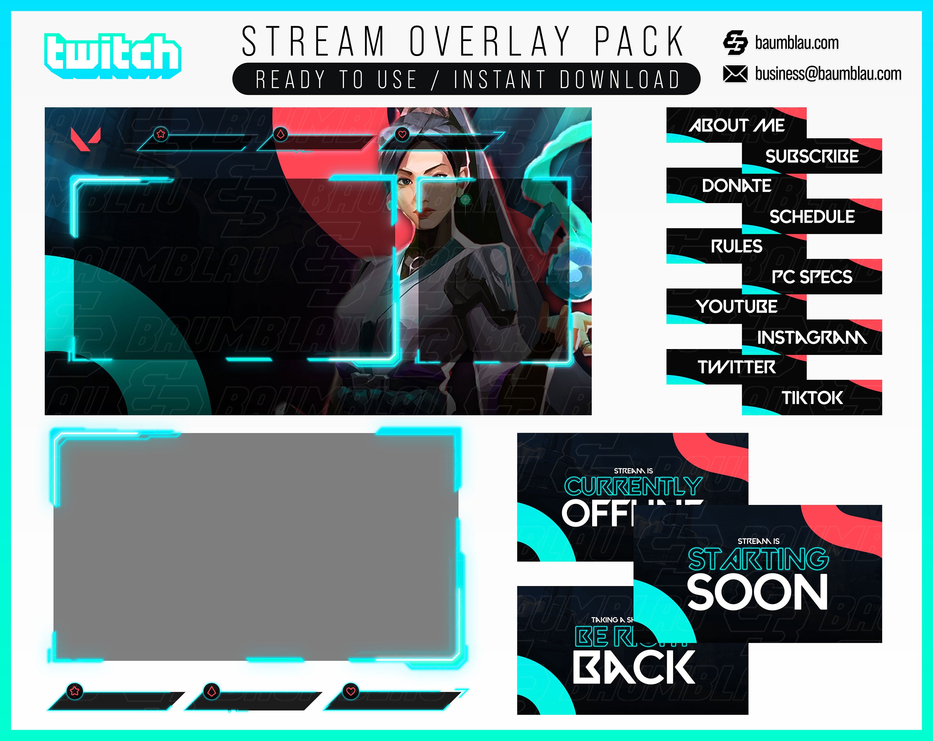 Valorant Sage Stream Overlay Gaming Stream Overlay Full Package Twitch ...
