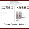 Cribbage Counting MASTER - Practice MASTER Cribbage Hands - Etsy