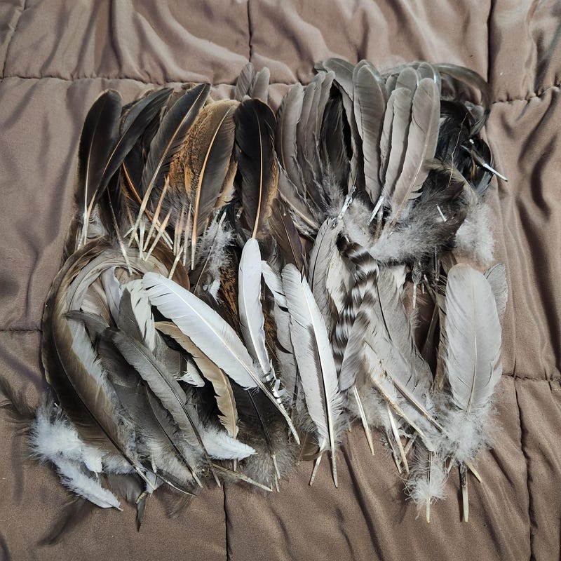 Craft Feathers - Etsy