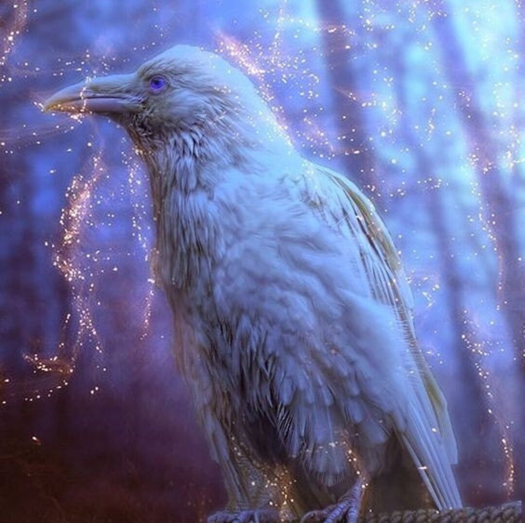 Raven Spirit Companion. Remote Binding. - Etsy