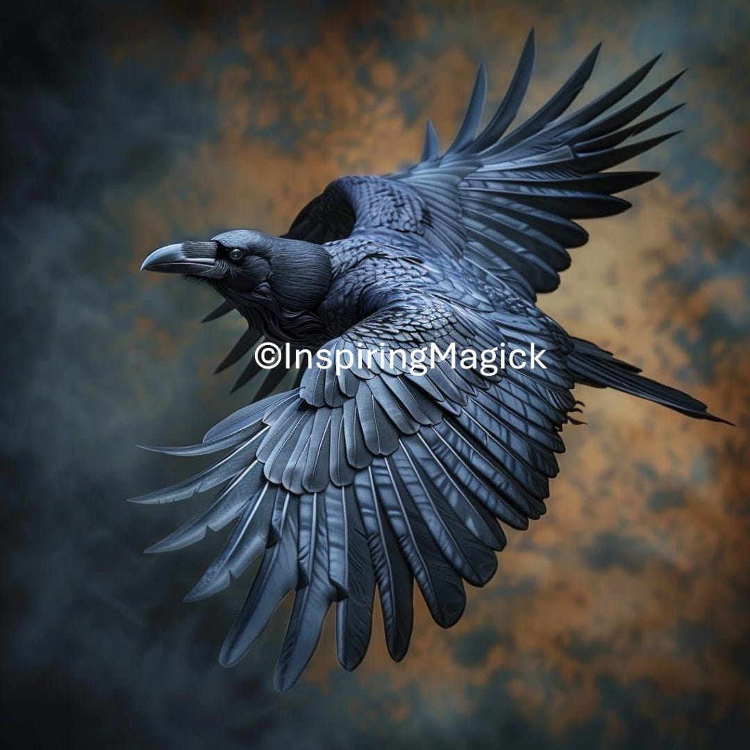 Black Raven Spirit Companion. Conjuring. Remote Binding - Etsy