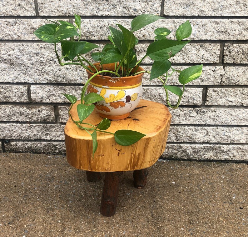 Wood Slab Stool 3 Legged Stool Walnut Foot Stool Live | Etsy