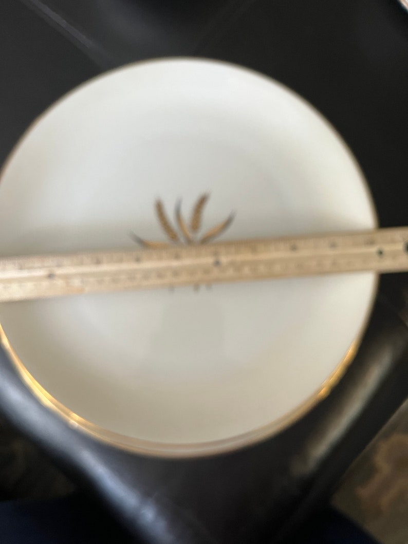 EMBASSY CHINA USA Vitrified Gold/black Wheat Pattern Dinner Plates-7 - Etsy