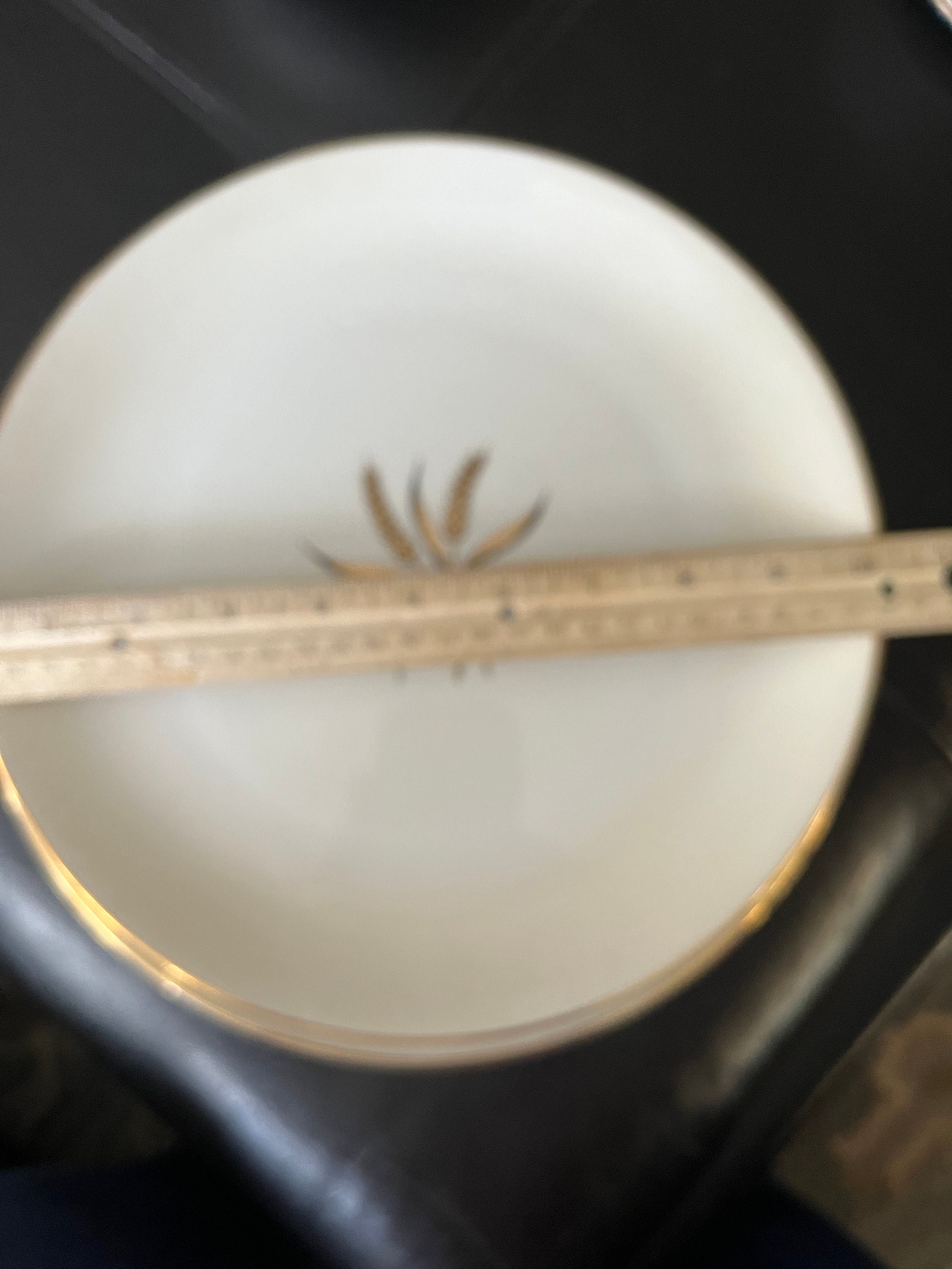 EMBASSY CHINA USA Vitrified Gold/black Wheat Pattern Dinner Plates-7 - Etsy
