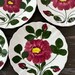 Blue Ridge Pottery-dessert Plates 6.25 Red Flowers - Etsy