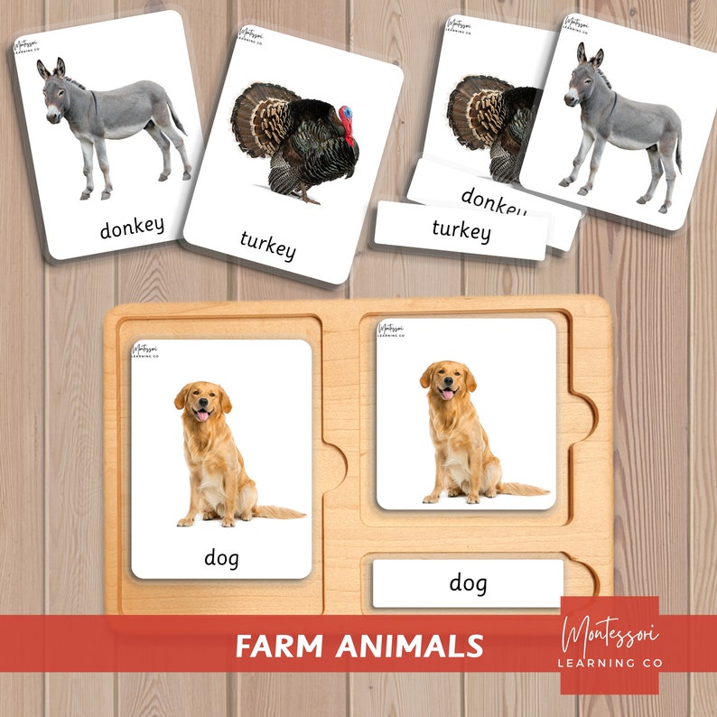 FARM ANIMALS Three Part Cards Nomenclature Cards Montessori Flash Cards ...