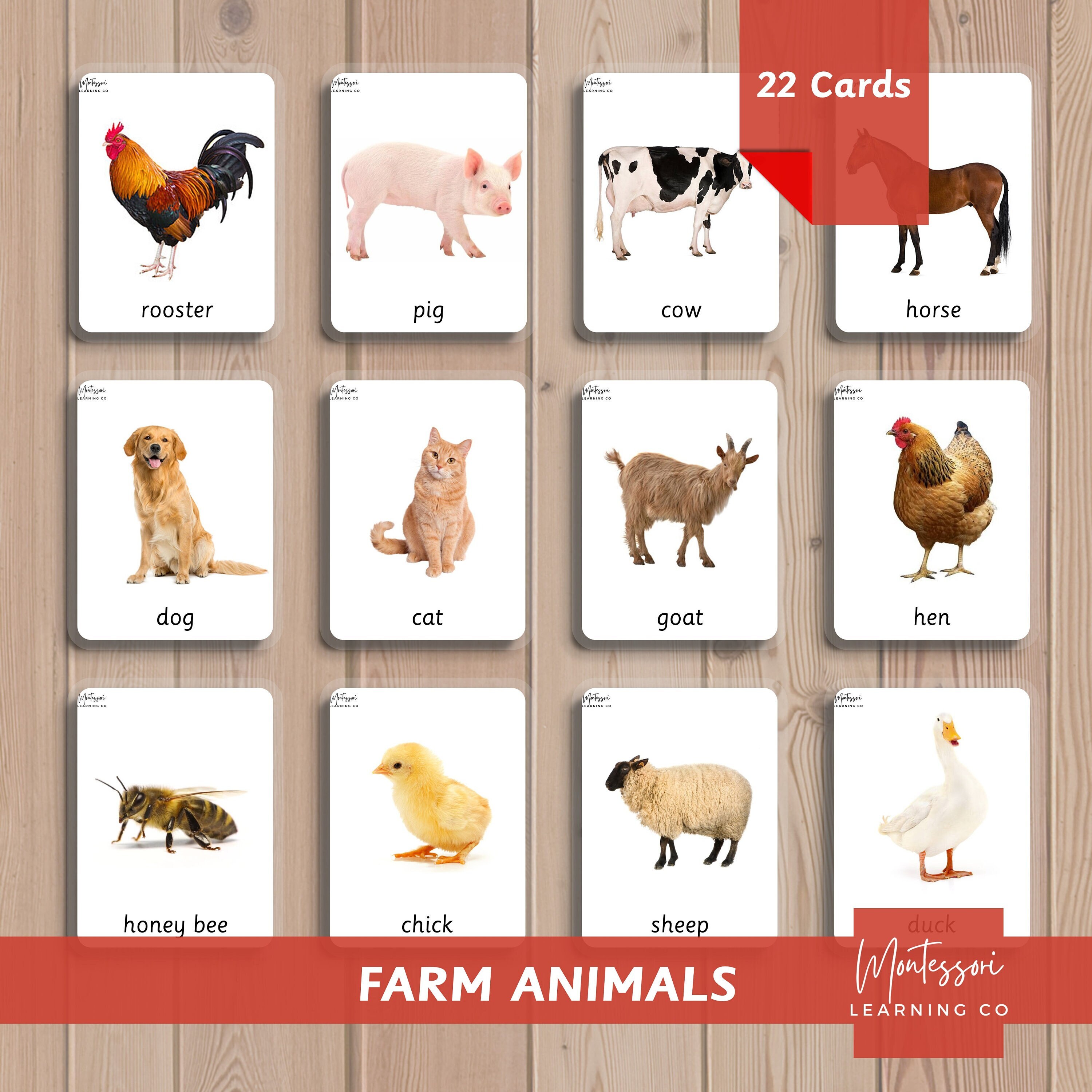 FARM ANIMALS Three Part Cards Nomenclature Cards Montessori Flash Cards ...