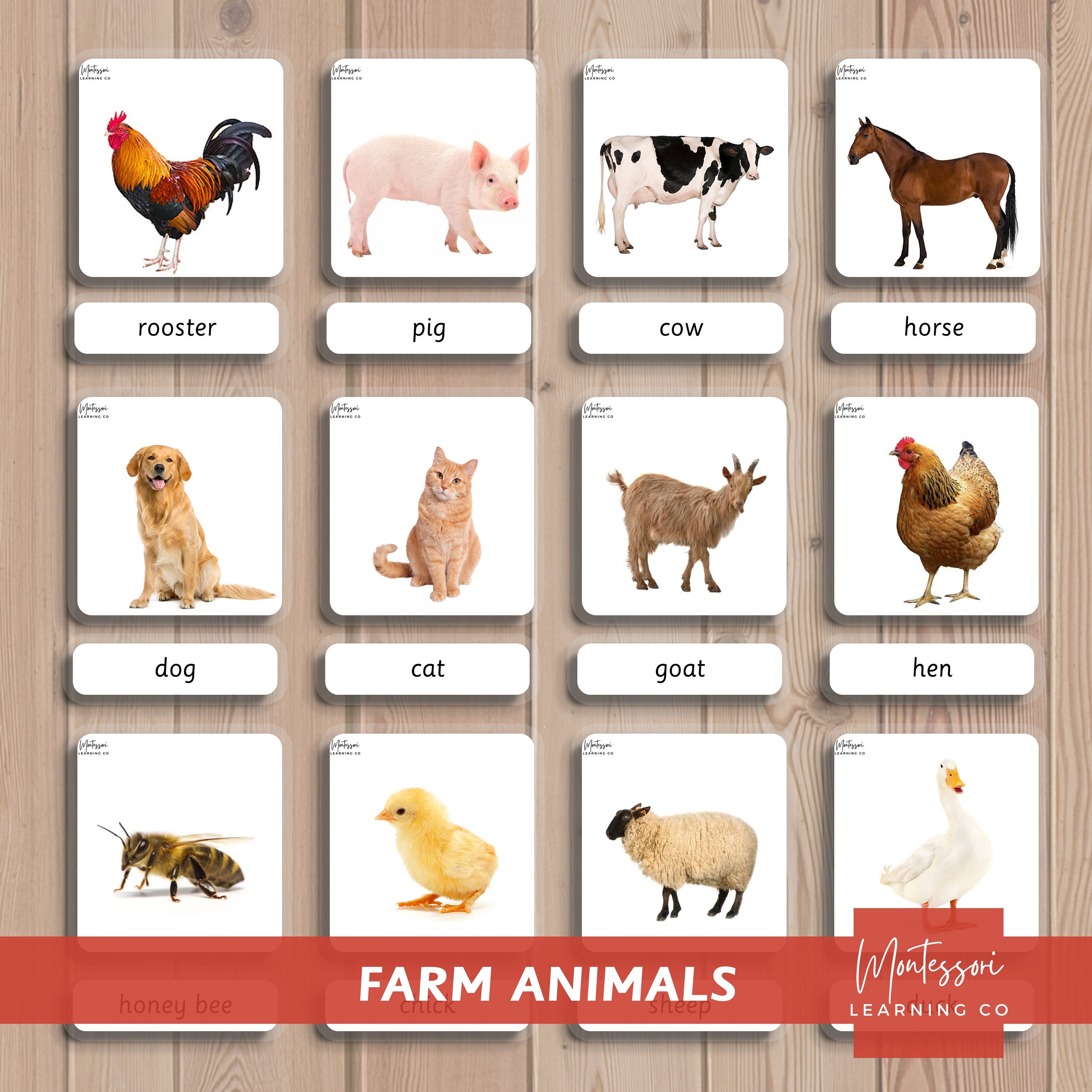 FARM ANIMALS Three Part Cards Nomenclature Cards Montessori Flash Cards ...