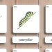 INSECTS BUGS Three Part Cards Nomenclature Cards Montessori Flash Cards ...