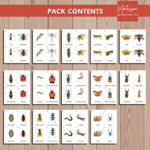 INSECTS BUGS Three Part Cards Nomenclature Cards Montessori Flash Cards ...