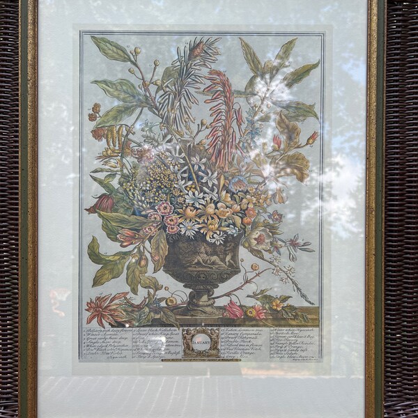 Flower Lithograph - Etsy