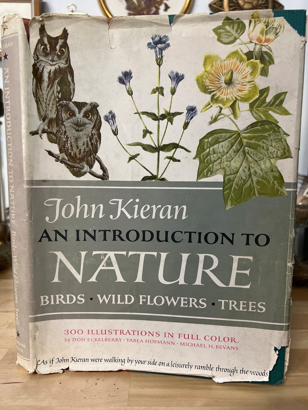 1955 Book — an Introduction to Nature — John Kieran - Etsy