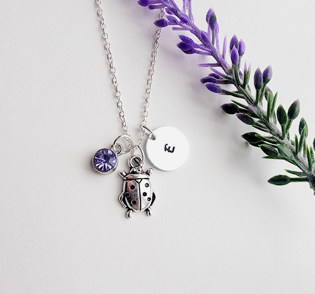 Ladybug Necklace-ladybug Gift for Girls-personalized Ladybug Necklace ...