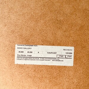 Warhol Blue Marilyn Monroe Colorplak - Etsy