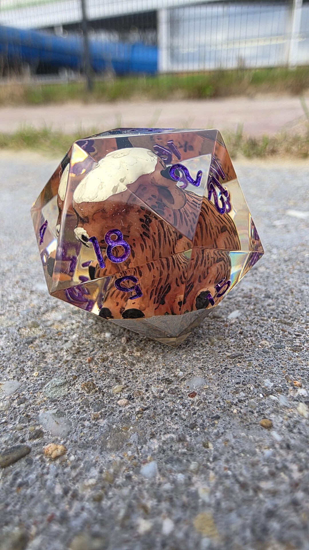 RPG Die D20 Resin Scottish Highlander - Etsy