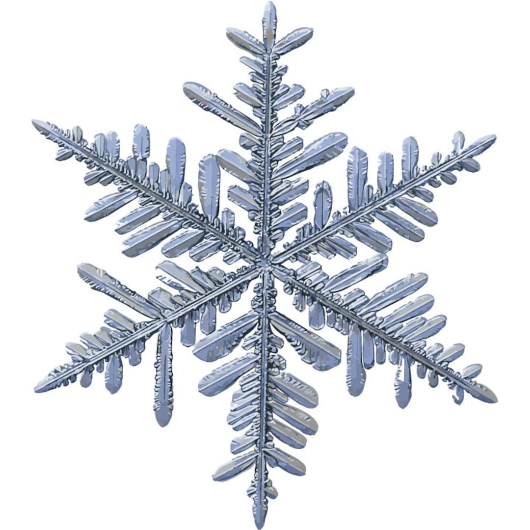 Realistic Snowflake Clipart JPG PNG 1010 - Etsy