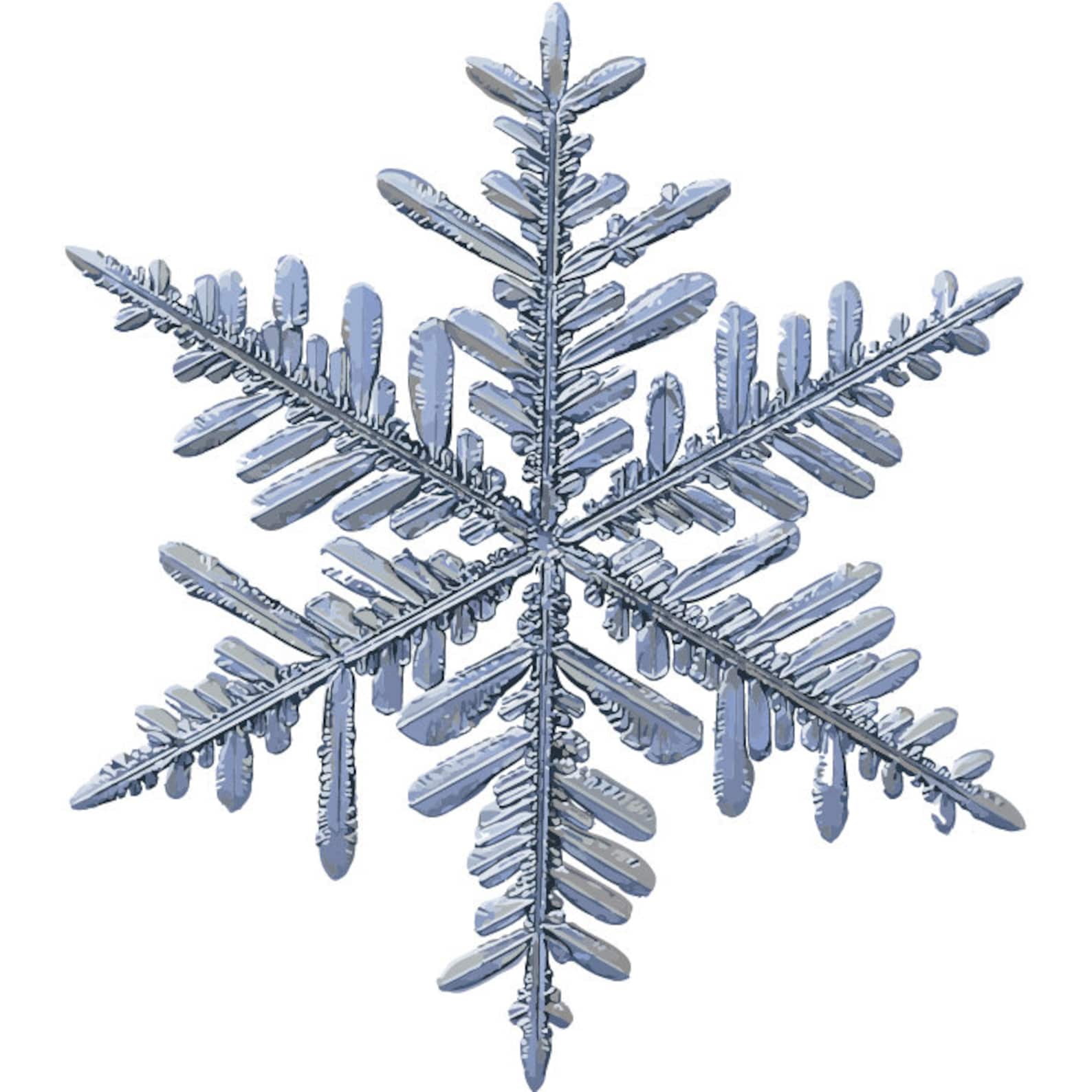 Realistic Snowflake Clipart JPG PNG 1010 - Etsy