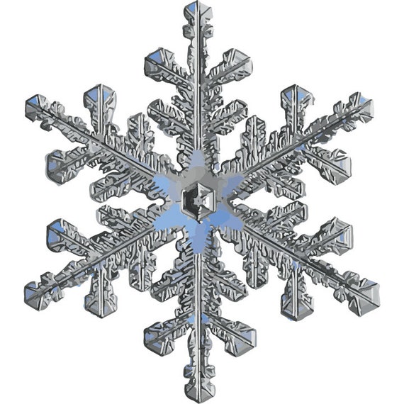 Realistic Snowflake Clipart JPG PNG 1006 | Etsy
