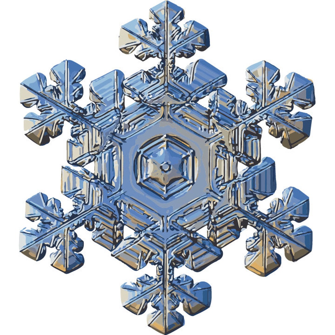 Realistic Snowflake Clipart JPG PNG 1002 - Etsy