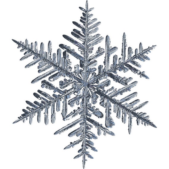 Realistic Snowflake With Transparent Background