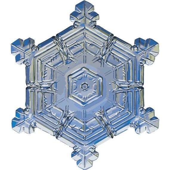 Realistic Snowflake Clipart JPG PNG 1011 - Etsy