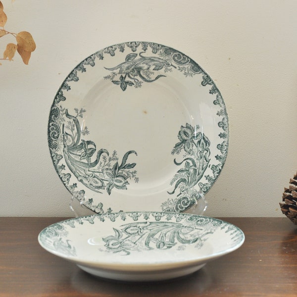 Green Transferware - Etsy
