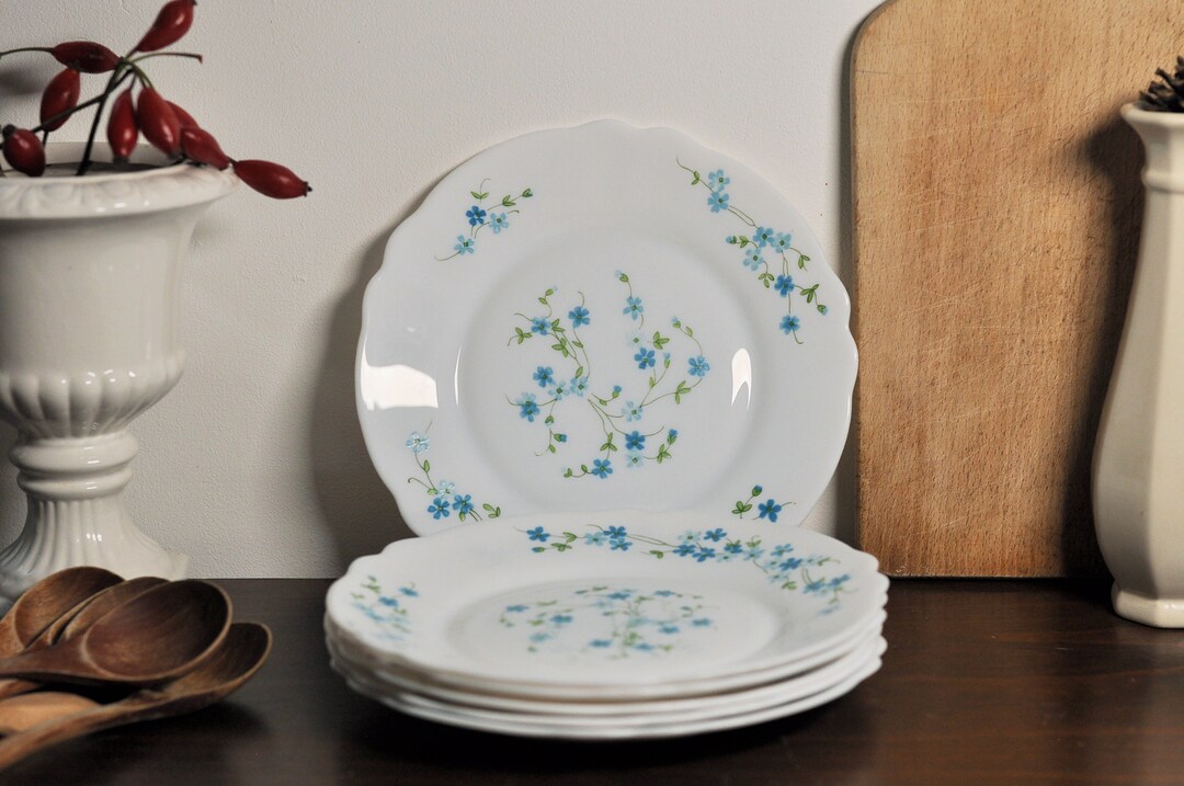 Set of 5 French Vintage Arcopal Dessert Plates - Etsy