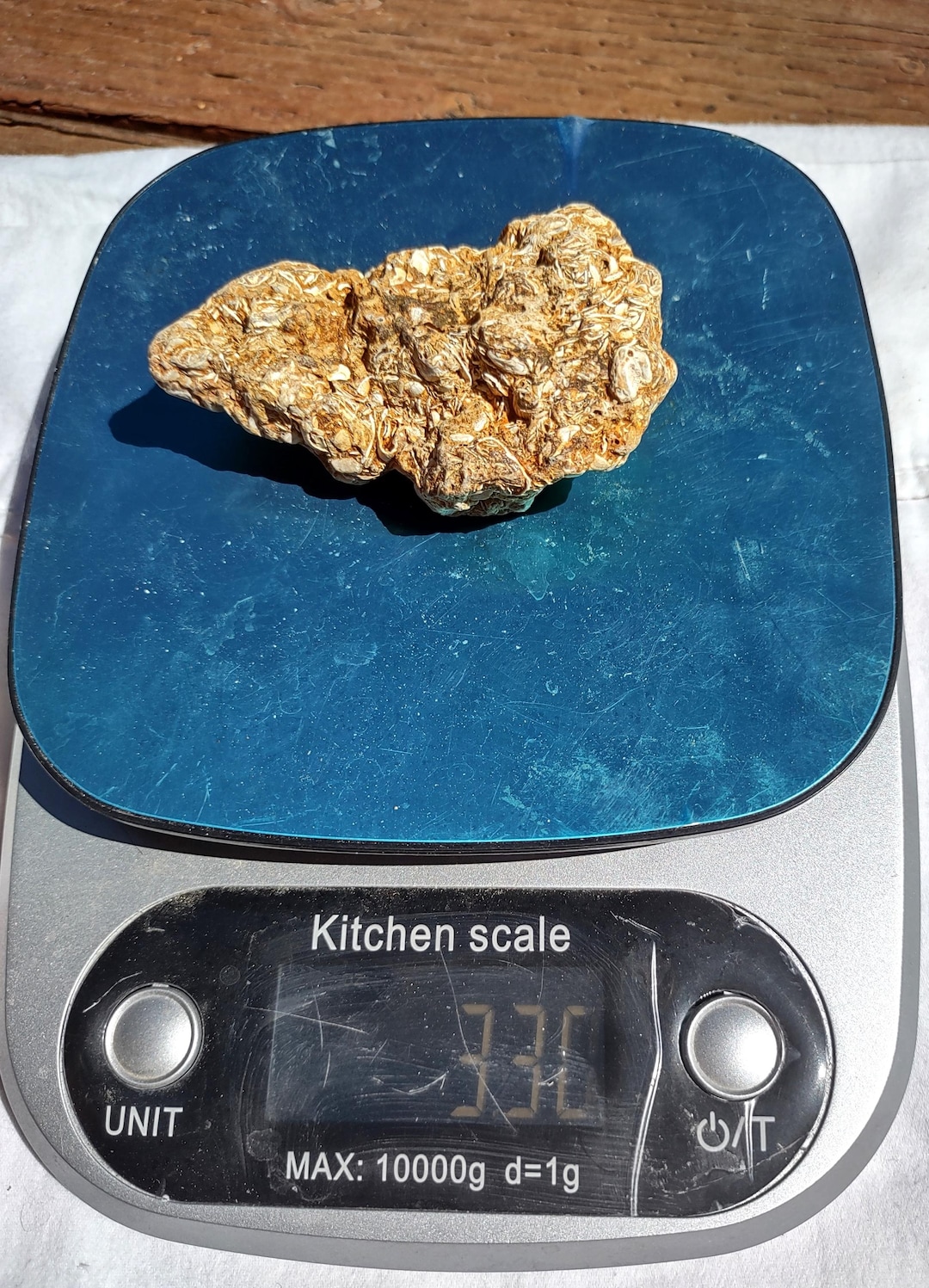 3.4 Oz Coquina Rock Flagler Beach, Florida - Etsy