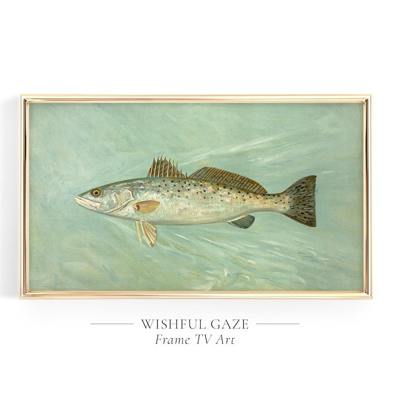 Frame Tv Art Fishes - Etsy UK