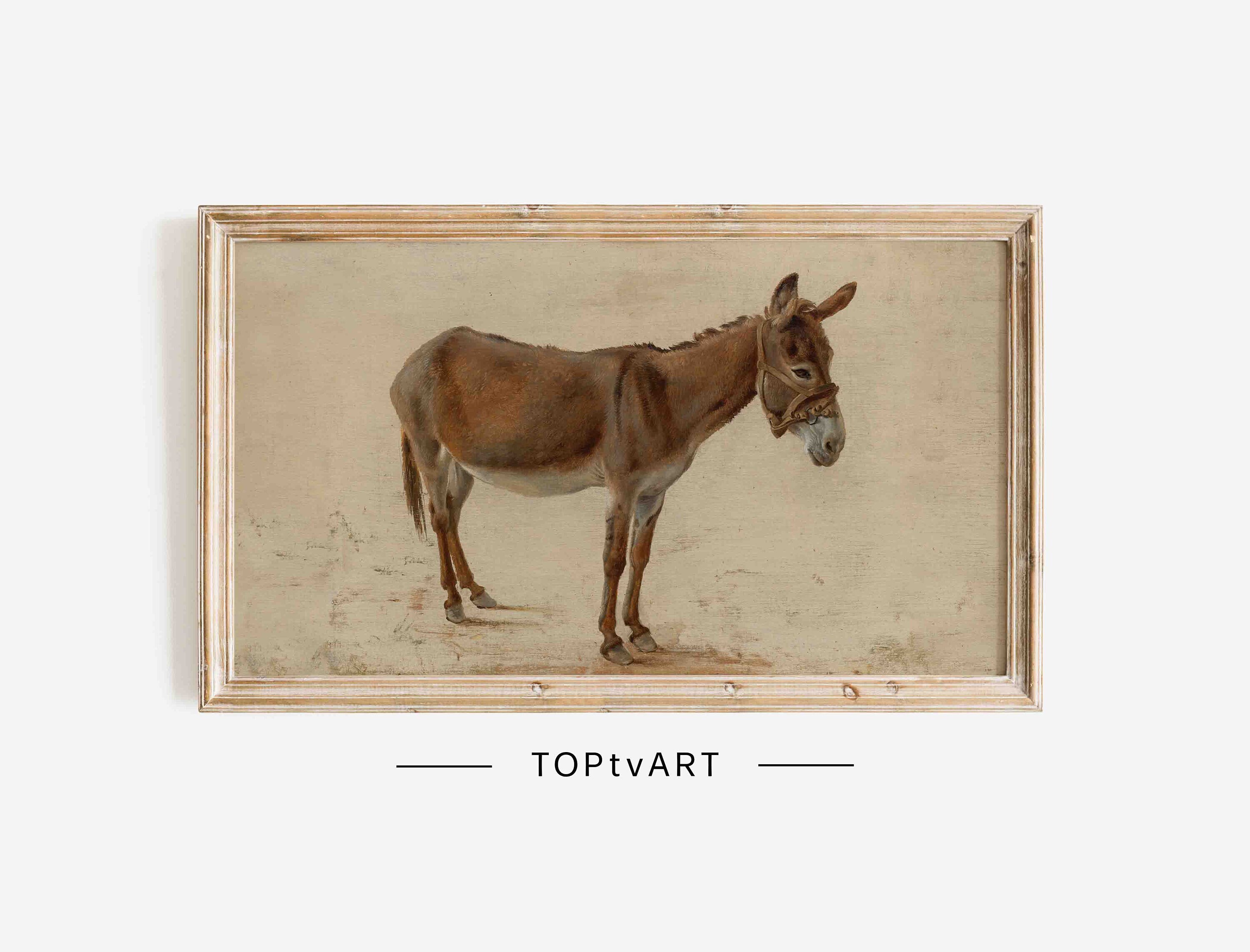 Samsung Frame TV Art Donkey Frame TV Vintage Painting Frame - Etsy