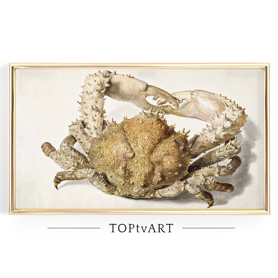 Samsung Frame TV Art Crab, Frame TV Vintage Crab Painting, Frame TV Art ...