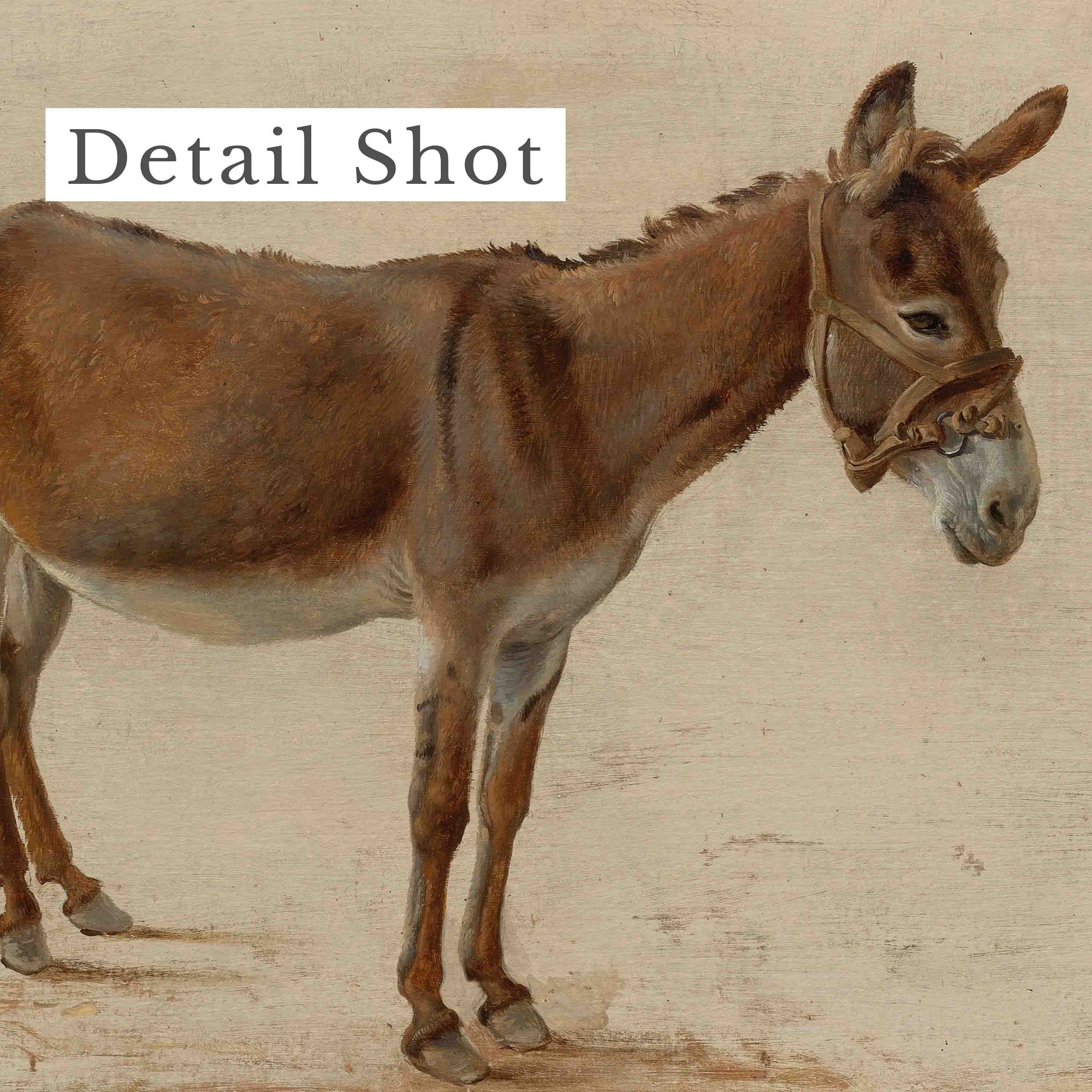 Samsung Frame TV Art Donkey Frame TV Vintage Painting Frame - Etsy