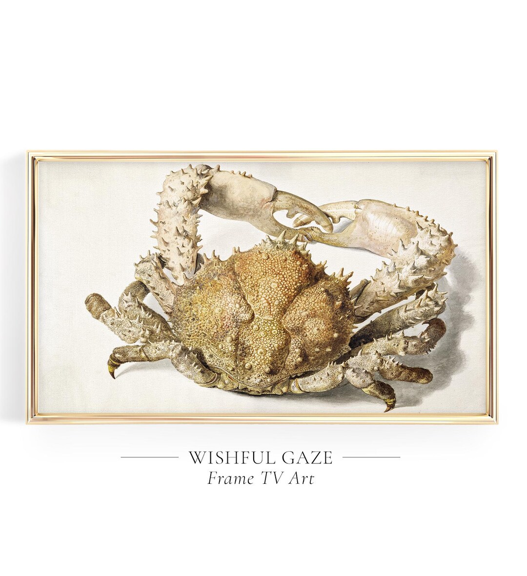 Samsung Frame TV Art Crab, Frame TV Vintage Crab Painting, Frame TV Art ...
