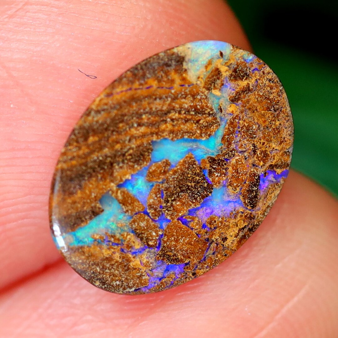 Wood Fossils 1.50ct Natural Wood Fossils Boulder Oval Opal From ...
