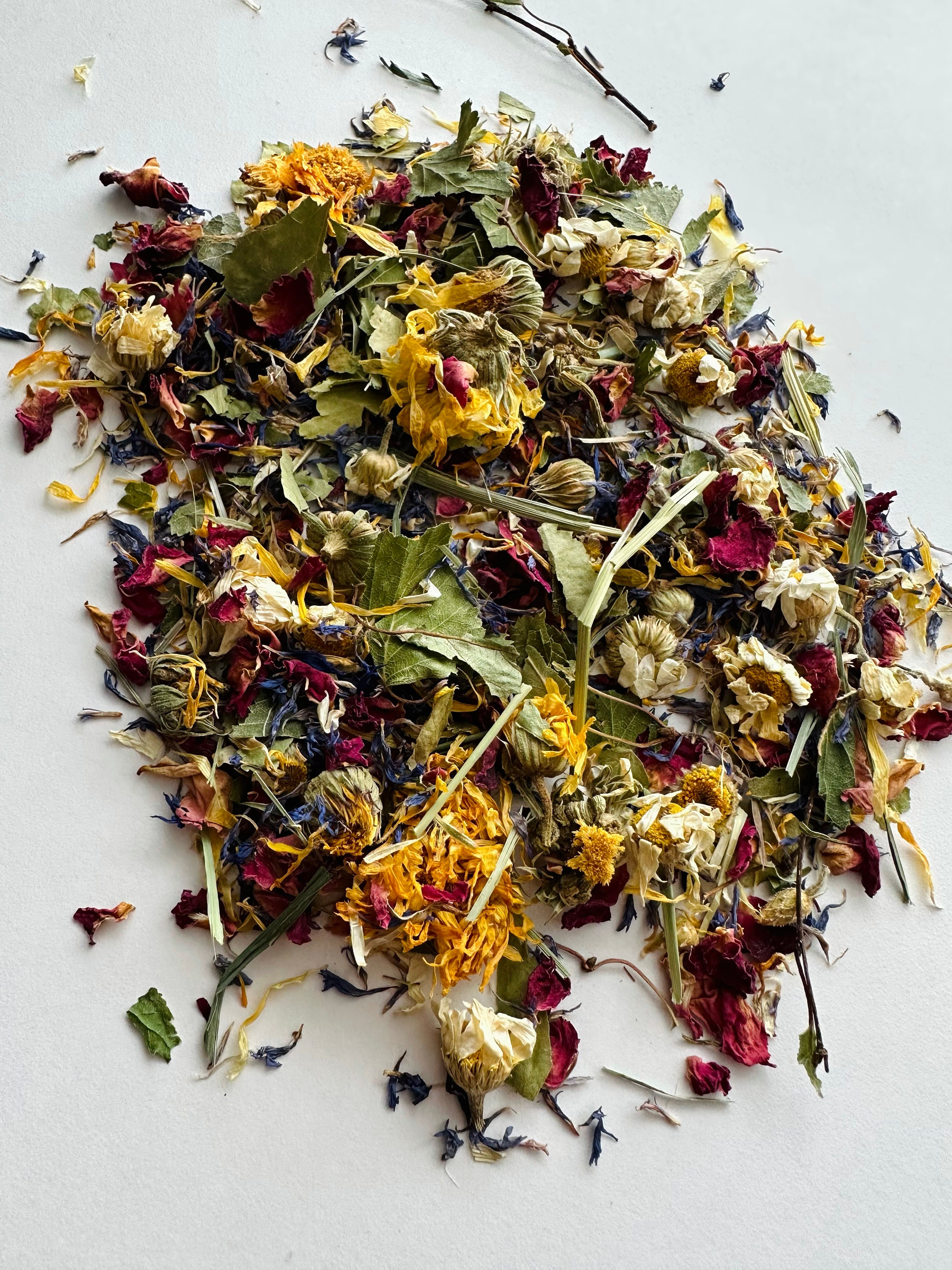 Hamster Foraging Mix Sample Size - Etsy