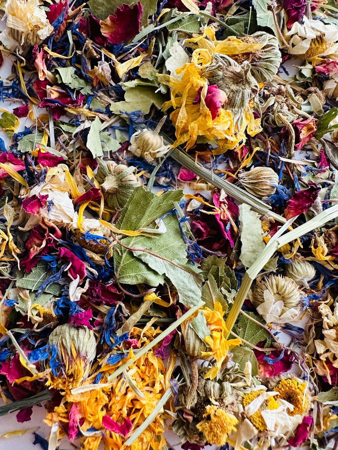 Hamster Foraging Mix Sample Size - Etsy