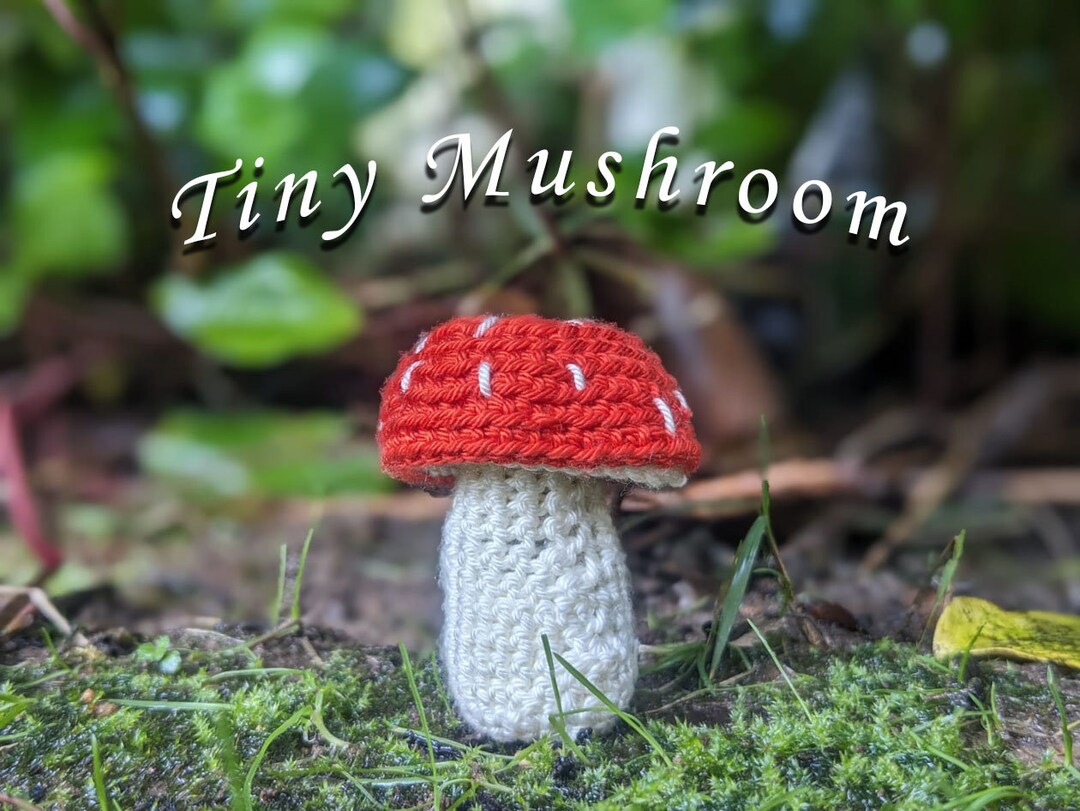 Tiny Mushroom Crochet Pattern , Amigurumi Mini Nature Crochet PDF Ebook ...