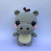 Tiny Hippo Crochet Pattern, Amigurumi Animal PDF (beginner) - Etsy