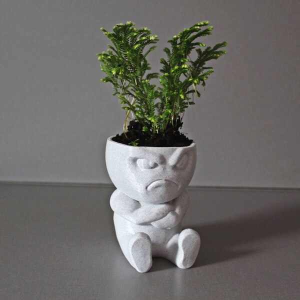 Unique Planter - Etsy