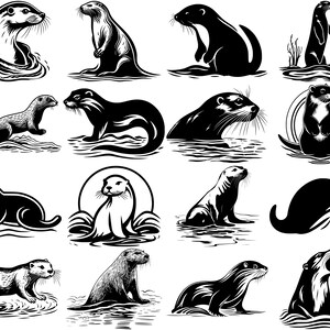 100+ River Otter SVG Bundle, Instant Digital Download, PNG, SVG Cut ...