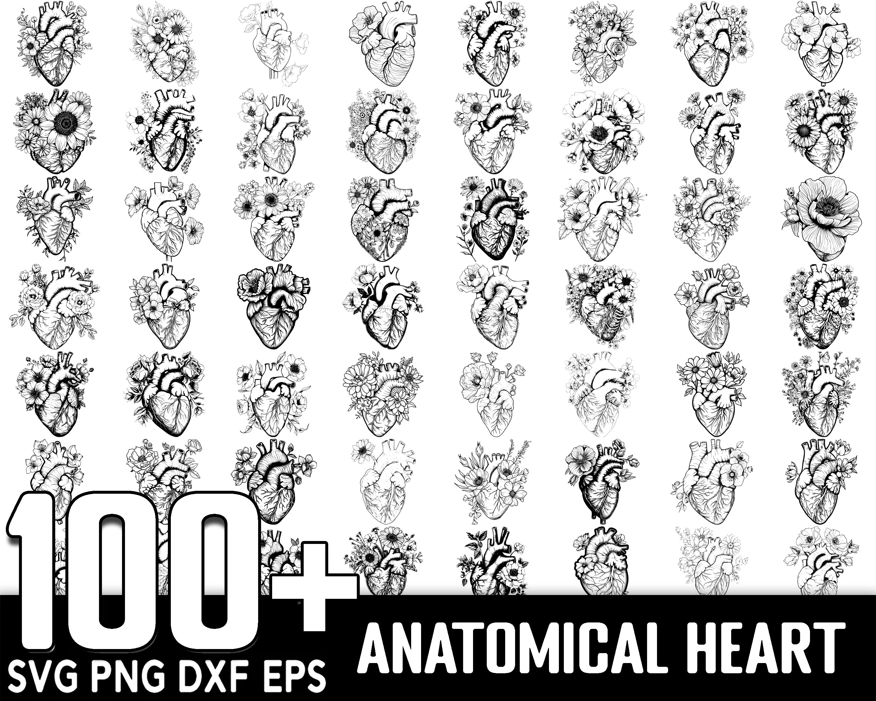 100+ Anatomical Heart SVG Bundle, Instant Digital Download, PNG, SVG ...