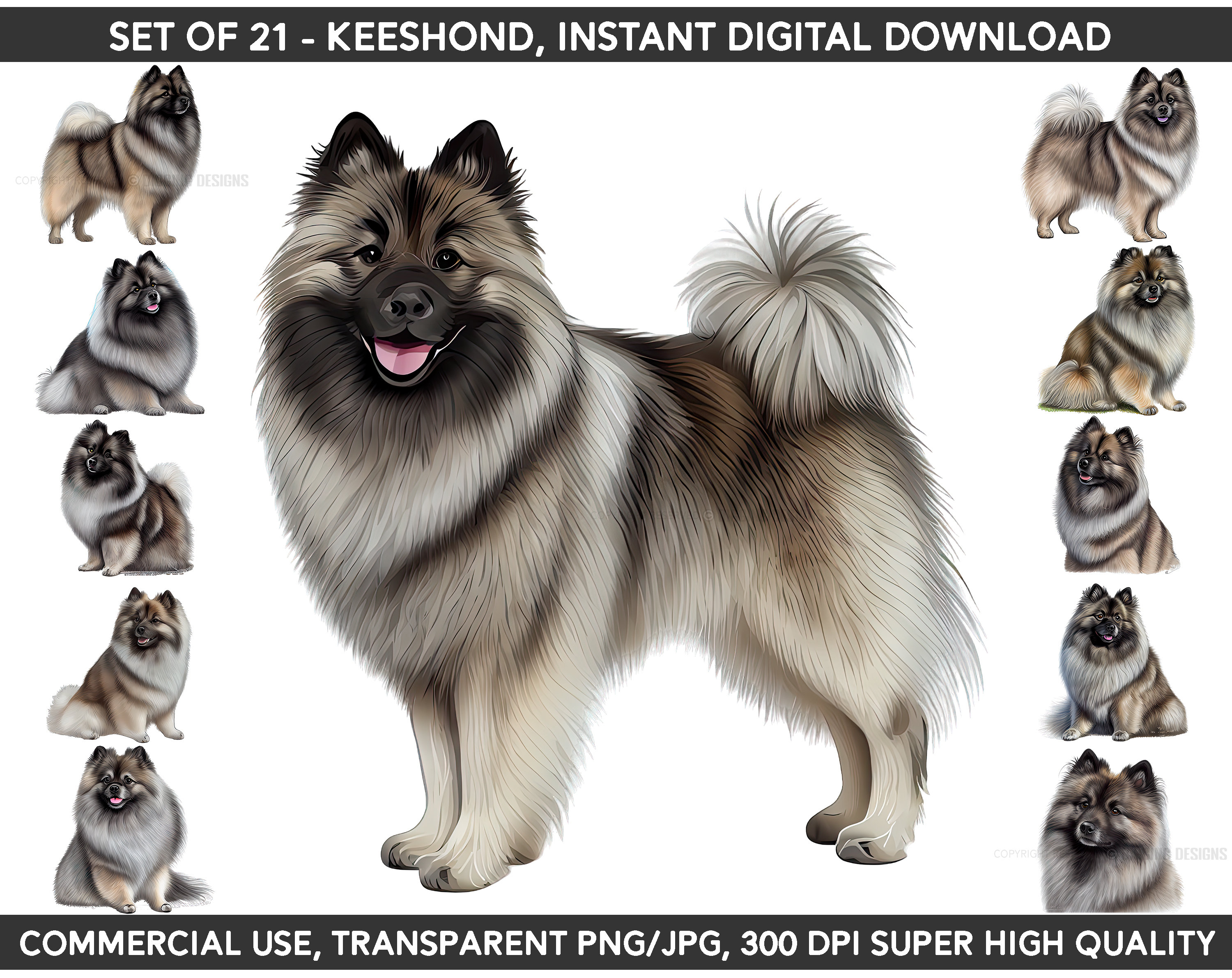 What Breeds Make Up A Keeshond